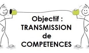 Transmettre ses compétences : un nouvel enjeu pour les organisations ...